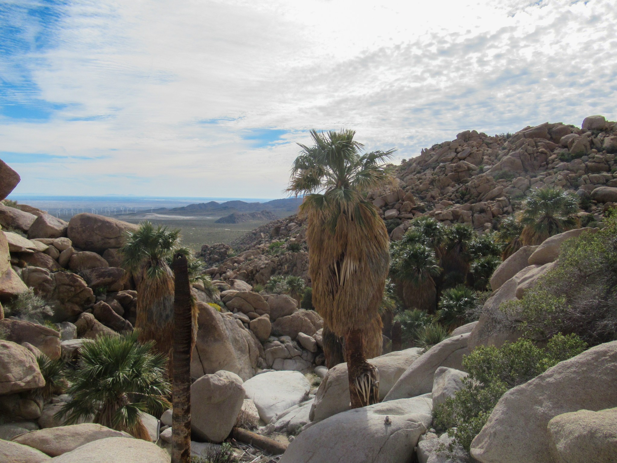Unique hikes of San Diego: Goat Canyon Trestle – Evan Quarnstrom